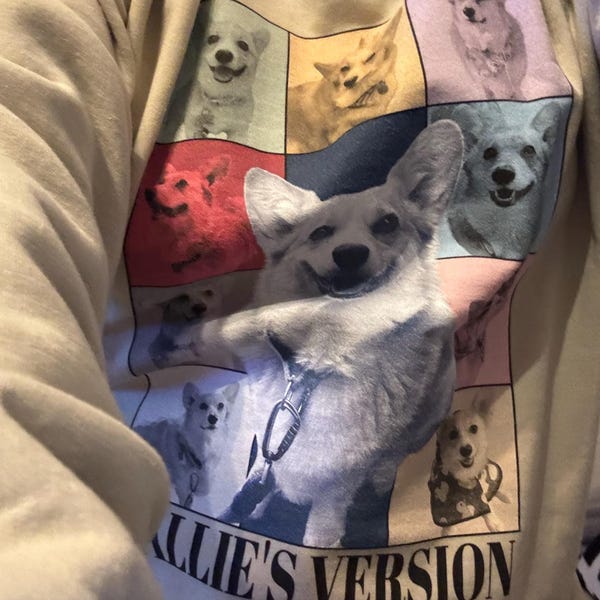 Customizable Eras Sweatshirt, Eras Tour Gift for Dog Mom, Crewneck Fan ...