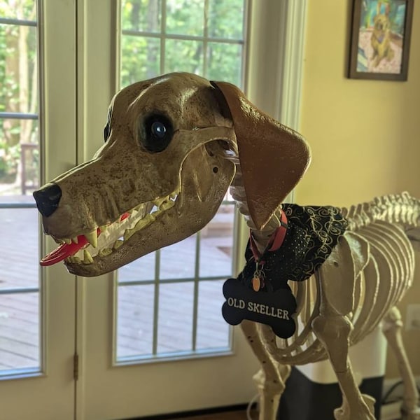 12 Ft Skeleton SWIM WEAR skeleton & Hats Not Included - Etsy