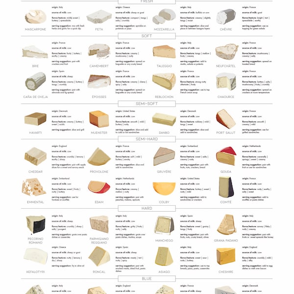 Types of Cheese Print, Cheese Guide, Cheese Infographic Printable, Food ...