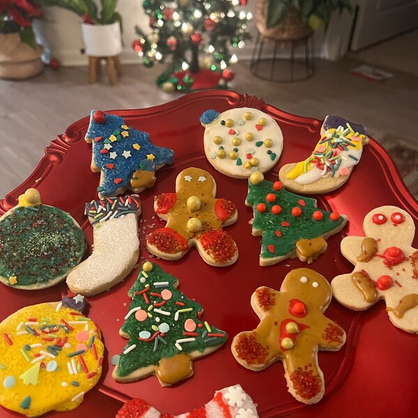 Extra Icing for Cookie Kit Cookie Decorating Kit Gift DIY Cookie Kit ...