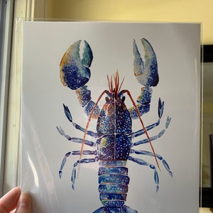 Three New England Mussels Watercolor Print. Mussel Art. - Etsy