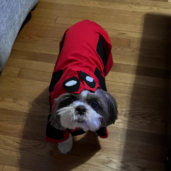 Deadpool, Deadpool Dog Costume, Halloween Dog Costume - Etsy