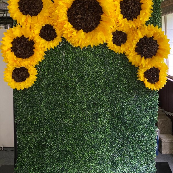 Paper Sunflower Backdrop for Sunflower Weddings, Sunflower Themed ...