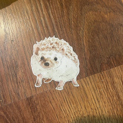 Hedgehog Vinyl Sticker Laptop Water Bottle and Car Decal - Etsy