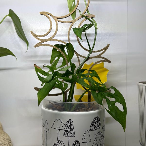 Plant Propagation Pins for Cuttings, Gardening Plant Clips, Strawberry ...