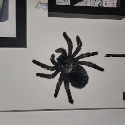 Realistic Tarantula Spider Poseable Shelf Decor Wall Mountable Faux ...
