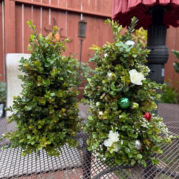 Fresh Boxwood, Fresh Wedding Greenery, Boxwood by the Pound, Fresh ...