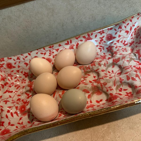 Handmade Red Floral Ceramic Egg Tray: 18-egg Pottery Crate - Etsy