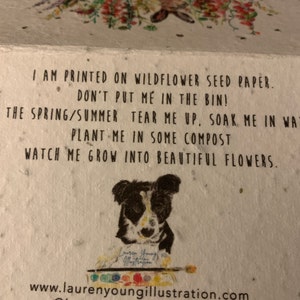 Poppys, Bees & Wildflowers Plantable Seed Card/ Seed Card Birthday Card ...