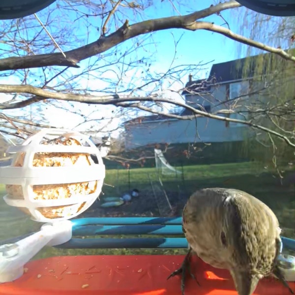 Bird Buddy Accessory Extender - Etsy