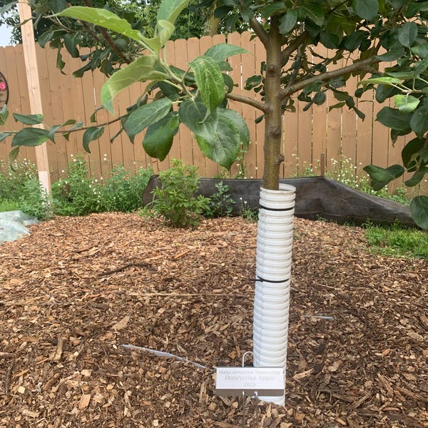 All Weather Tags for Trees or Shrubs | Custom Engraved UV Resistant ...