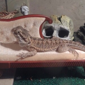 Retro Y2K Nostalgia Portable Radio Scanner FM Radio Mp3 Audio Radio ...