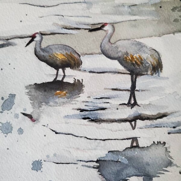 Original Strutting Turkey Tom Drawing - Etsy