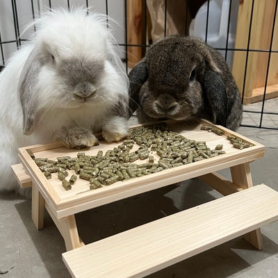 Small Picnic Table Guinea Pig Picnic Table Hamster Picnic - Etsy