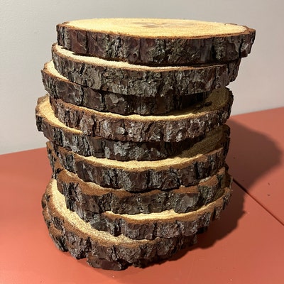 100 Discount Woodslices Assorted Pack of Wood Slices Tree Slices ...