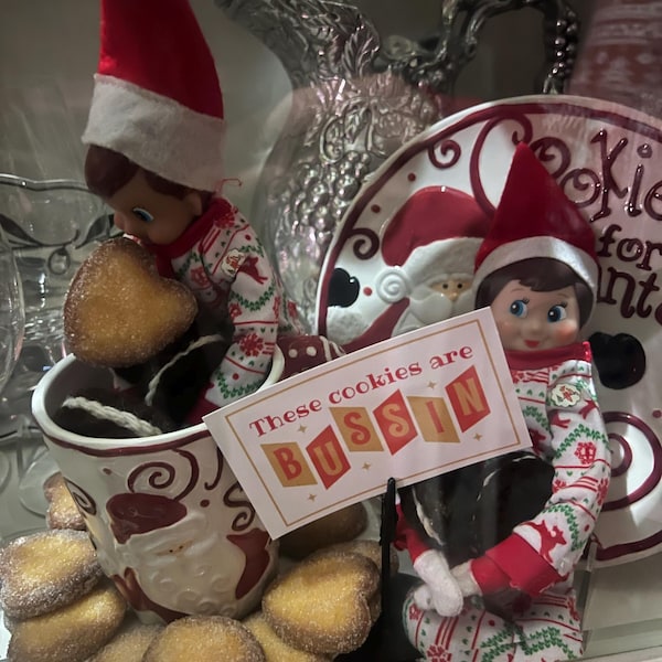 Reversible Bermuda Bag Cover Sewing Pattern - Etsy