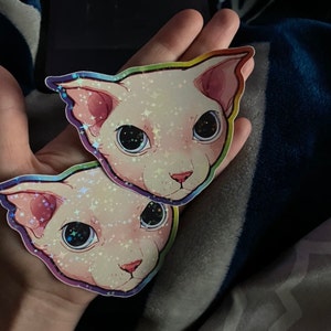 Bingus My Beloved Meme Cat Large Holographic Sticker - Etsy