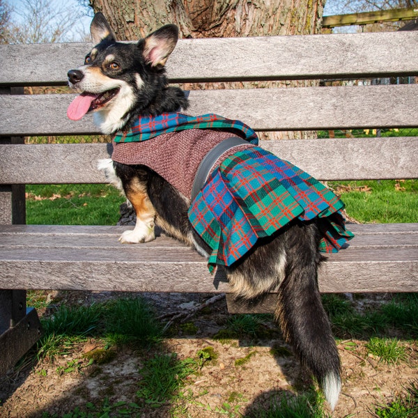 William Wallace Dog Kilt, Medieval Kilt, Ancient Dog Kilt, Tartan Kilt ...