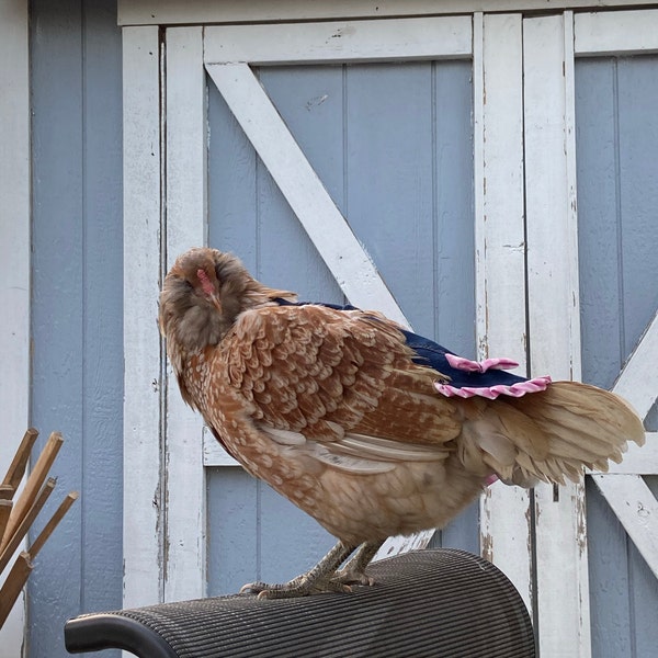 Chicken Saddle, Hen Apron, Hen Back Saver. Optional Wing Protector - Etsy