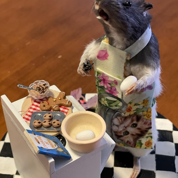 Do It Yourself Rat Taxidermy Kit With Real Rat Skin - Etsy