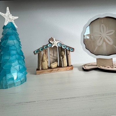 Shark Teeth MEGALODON Shadow Box for Shark Teeth, Small Shells, Fossils ...