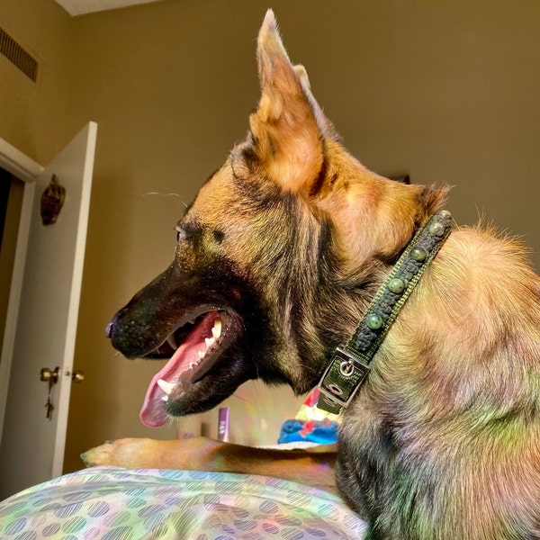 Jade Dog Collar - Crystal Dog Collar - Crystal Healing Collar - Dog ...