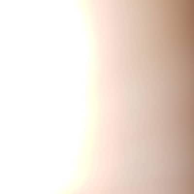 Amy Bradley Designs Animal Whimsy Quilt Pattern - Etsy