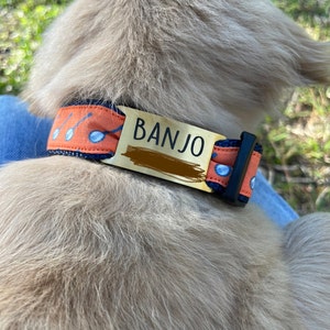 Banjo Dog Collar, Harness or Leash With Personalized Engraved Buckle ...