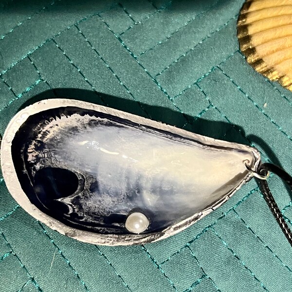 Calico Shell Keychain, Sea Scallop Keyring, Sea Lovers Gift, Handmade ...