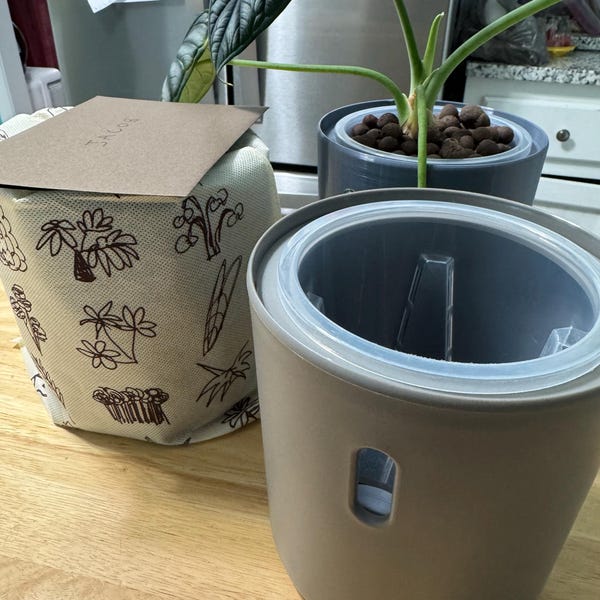 LECA Pots Self Watering Planter for Houseplants 5.5 Inch 3-pack ...