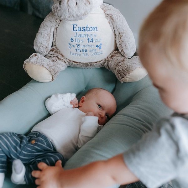 Personalized Stuffed Bunny – Custom Birth Stats Plush Toy | Newborn ...