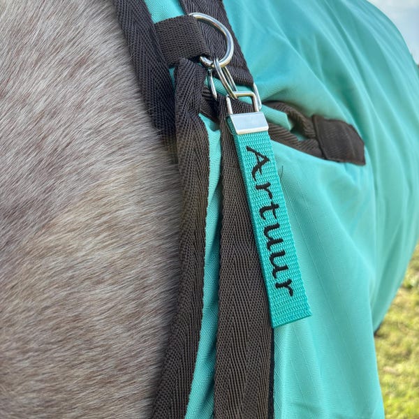 LARGE Embroidered Halter Sleeves, Custom Horse Halter Name Tag. Single ...