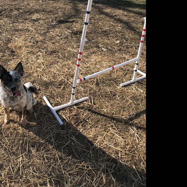 Dog Agility Equipment Training Bar Jump FREE US Shipping* - Etsy