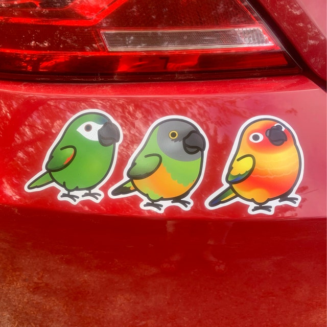 Chubby Bird Stickers Prints Charms & Custom Designs by Birdhism
