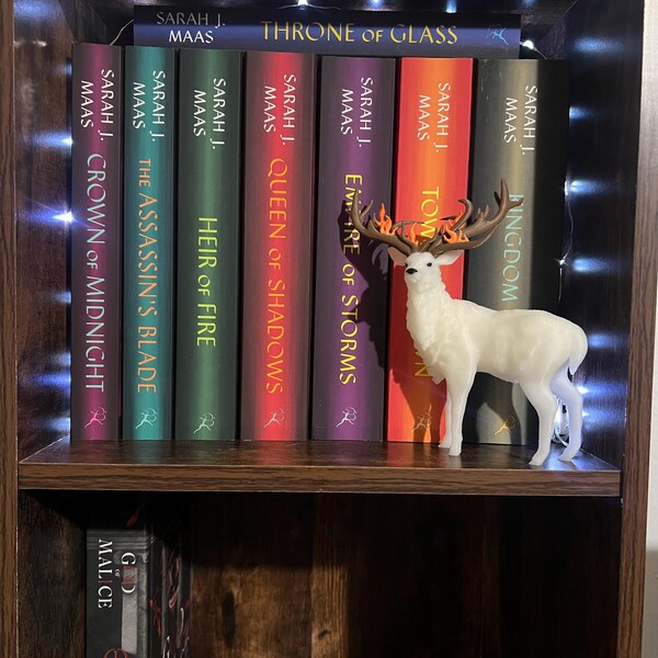 ASSEMBLED Book Nook| Acotar Inspired| Fantasy Books| Silver Flames| Bat ...