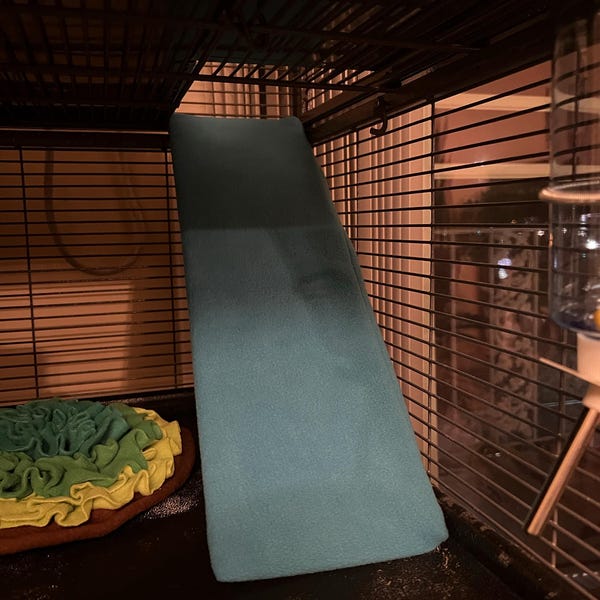 Ramp Covers ONLY for Wire Ramps | Fleece Ramp Covers | Nonslip off ...