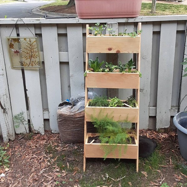 Living Wall, Vertical CEDAR Planter Box Ladder, larger Sizes ...