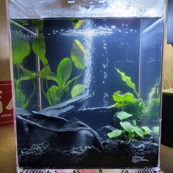 Corner Aquarium Terrarium Cave Hideout – Decorative Shelter for Fish ...