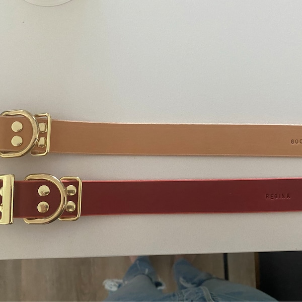 Personalized Red Leather Dog Collar, Brass / Gold Tone Buckle, With ...