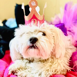 Dog Birthday Princess Tutu & Crown Pink and Purple Solid | Etsy