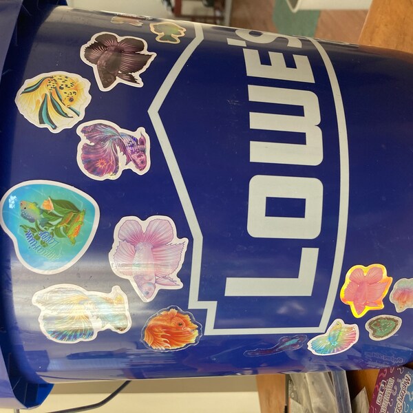 2in Holographic Heart Koi Fish Sticker, Koi Fish Art, Koi Fish Pond ...