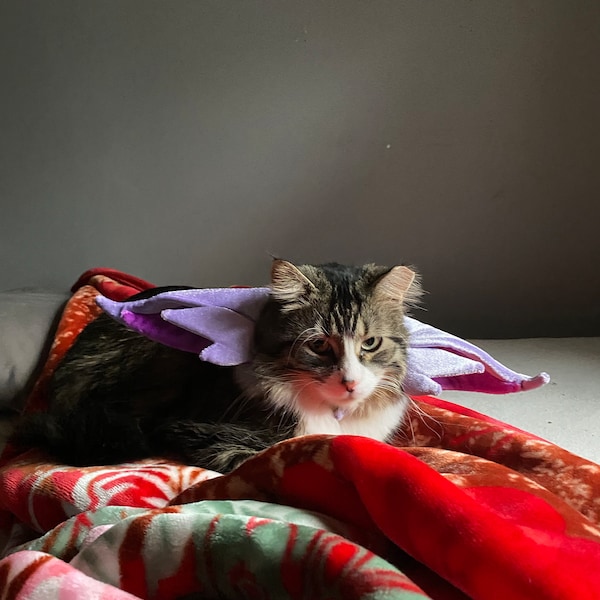 Psychic Ear & Tail for Costumes, Cosplay - Etsy