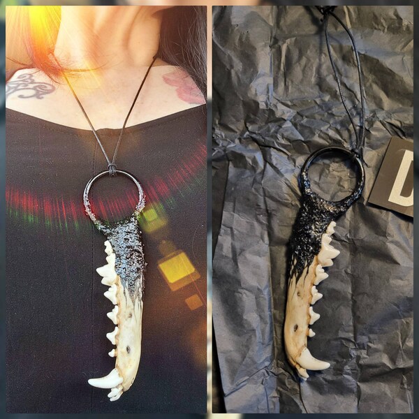 Bone Jewelry, Bone Ear Weights, Vertebrae, Vertebra, Gothic, Ear ...