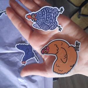 Snakes Vinyl Stickers/decals: Ball Python, Black Rat Snake, Corn Snake ...