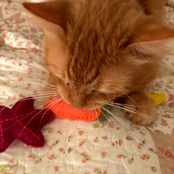 Berry Pie Catnip Filled Cat Toys - Etsy
