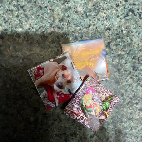 Custom 2.25" Round Photo Magnets - Etsy