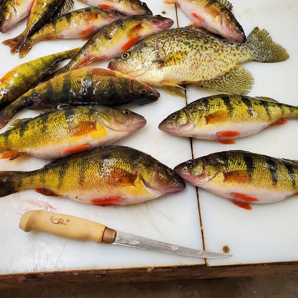 6 Pack Sitka Hunting Gear Vinyl Decal Sticker [9" W X 5" H ...