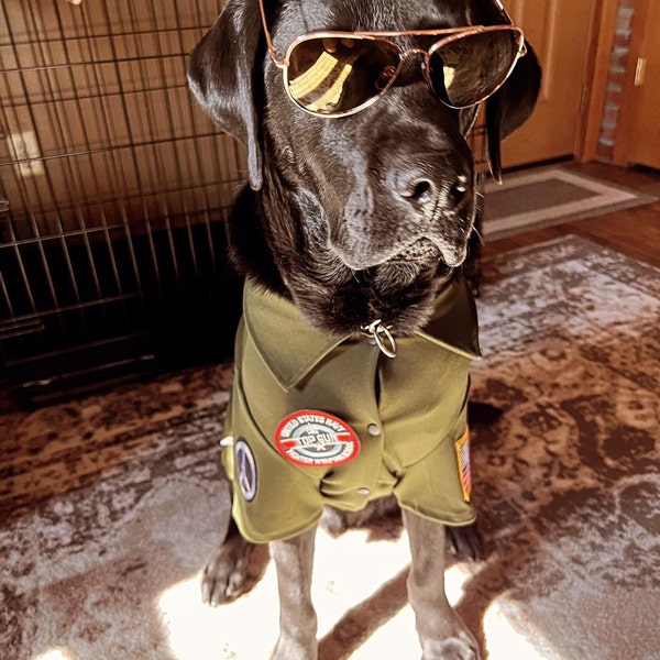 Top Gun Look Outfit Set - Pet Fighter Pilot Outfit, Navy Patriotic ...