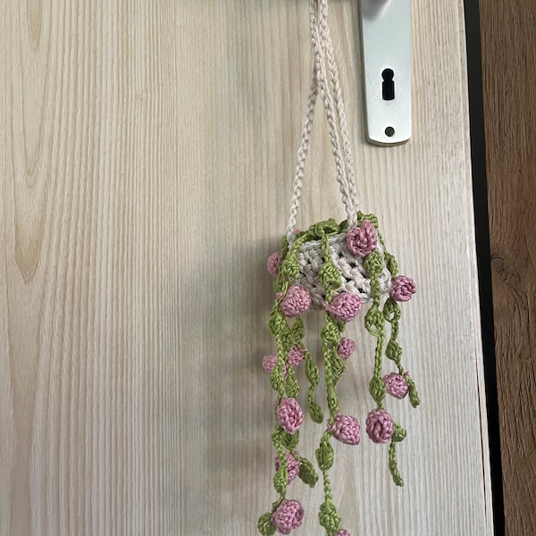String of Pearls Crochet Pattern, Hanging Plant Pattern, Flower Basket ...