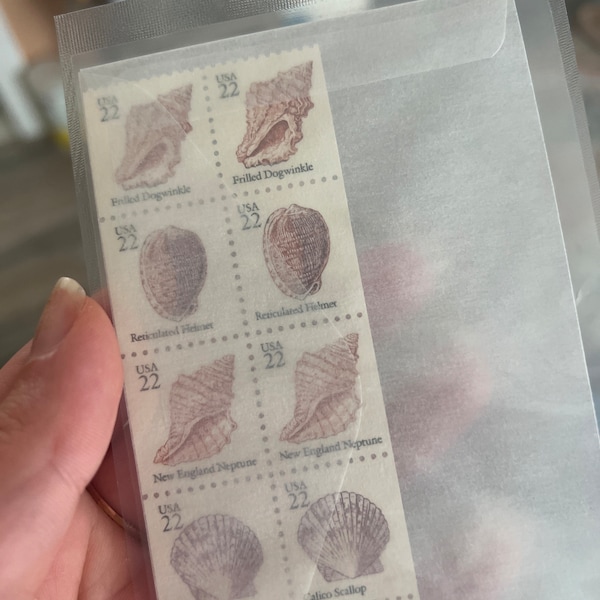 Five 5 Seashells Sea Shells 22c // Vintage Seashell Postage Stamps ...